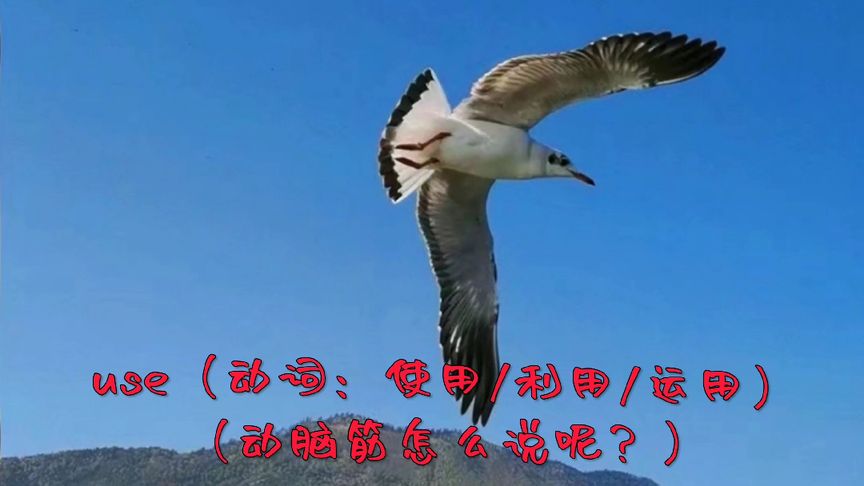 use(动词:使用/利用/运用)(动脑筋怎么说呢?)