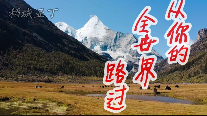 《从你的全世界路过》——稻城—亚丁