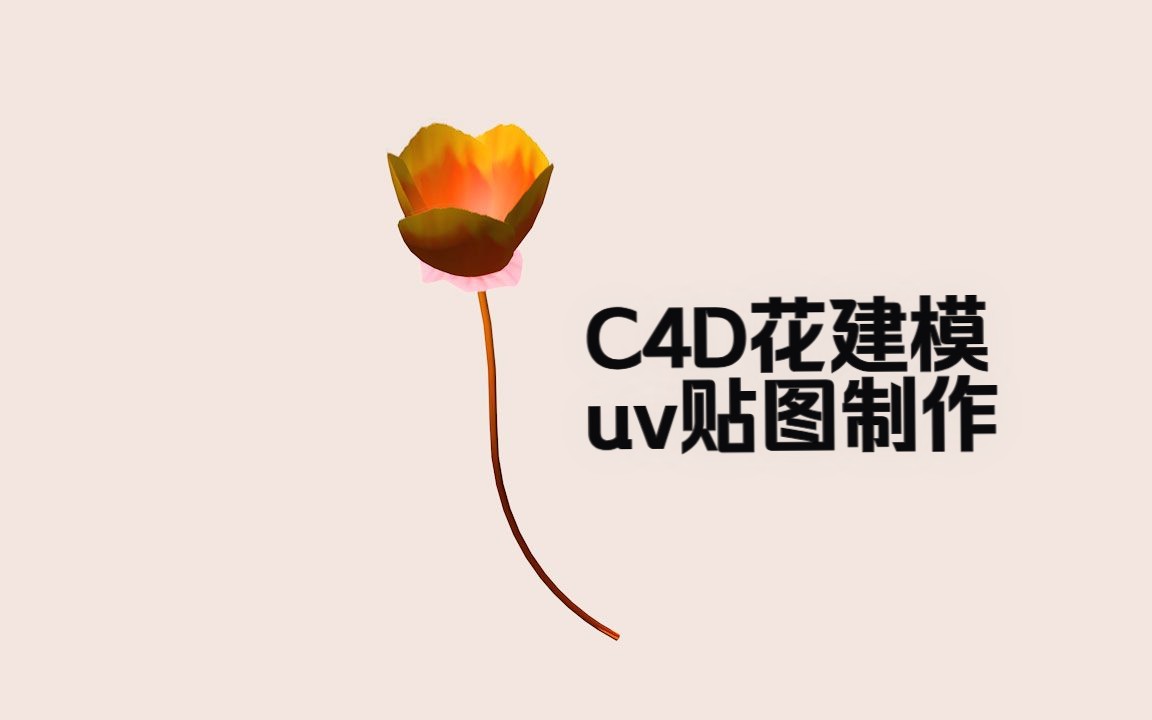 C4D花建模+uv贴图制作