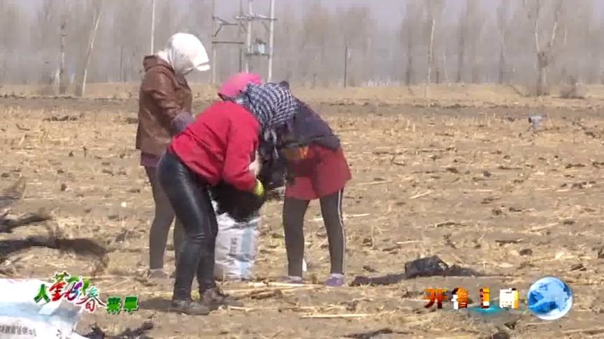 农用地膜回收:给土壤净身,给环境减负