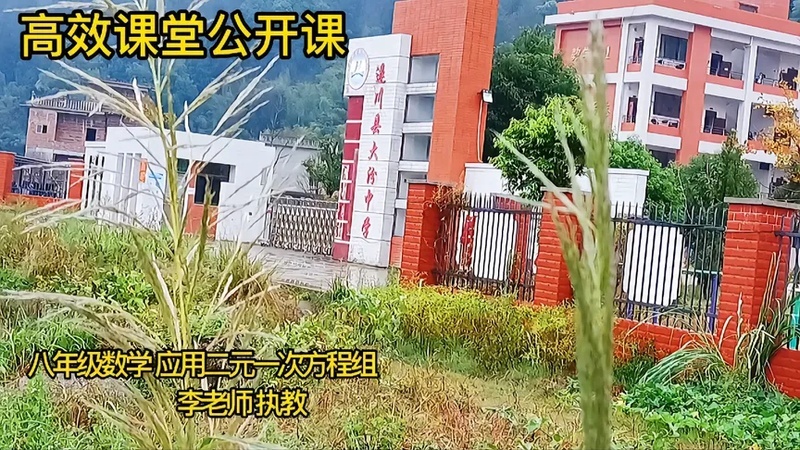 八年级数学《应用二元一次方程组》解《九章算术》鸡兔同笼问题