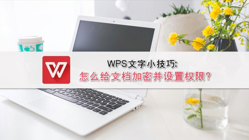 WPS文字小技巧:怎么给文档加密并设置权限?