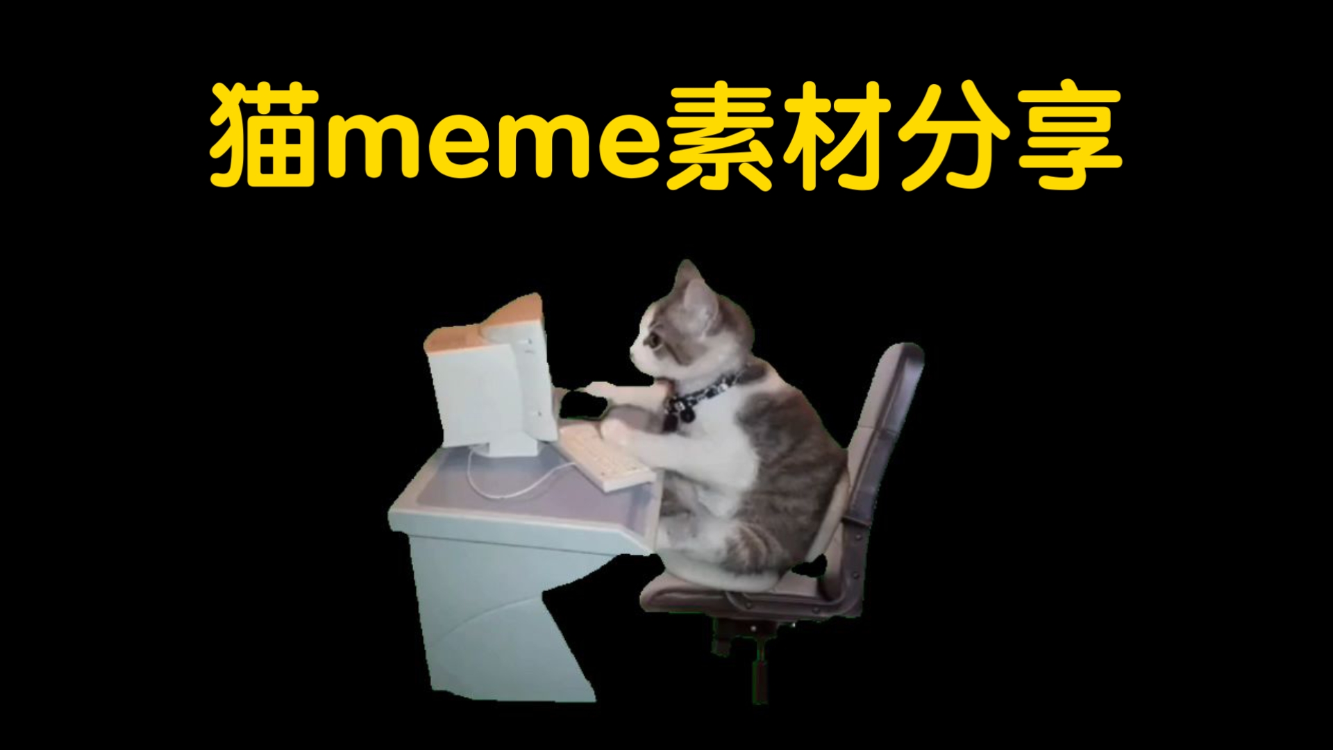 猫meme素材和教程,无偿分享