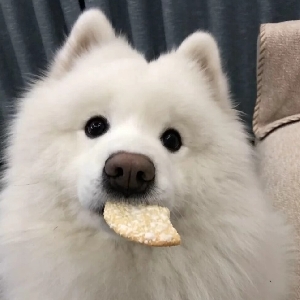 火影心安实况 