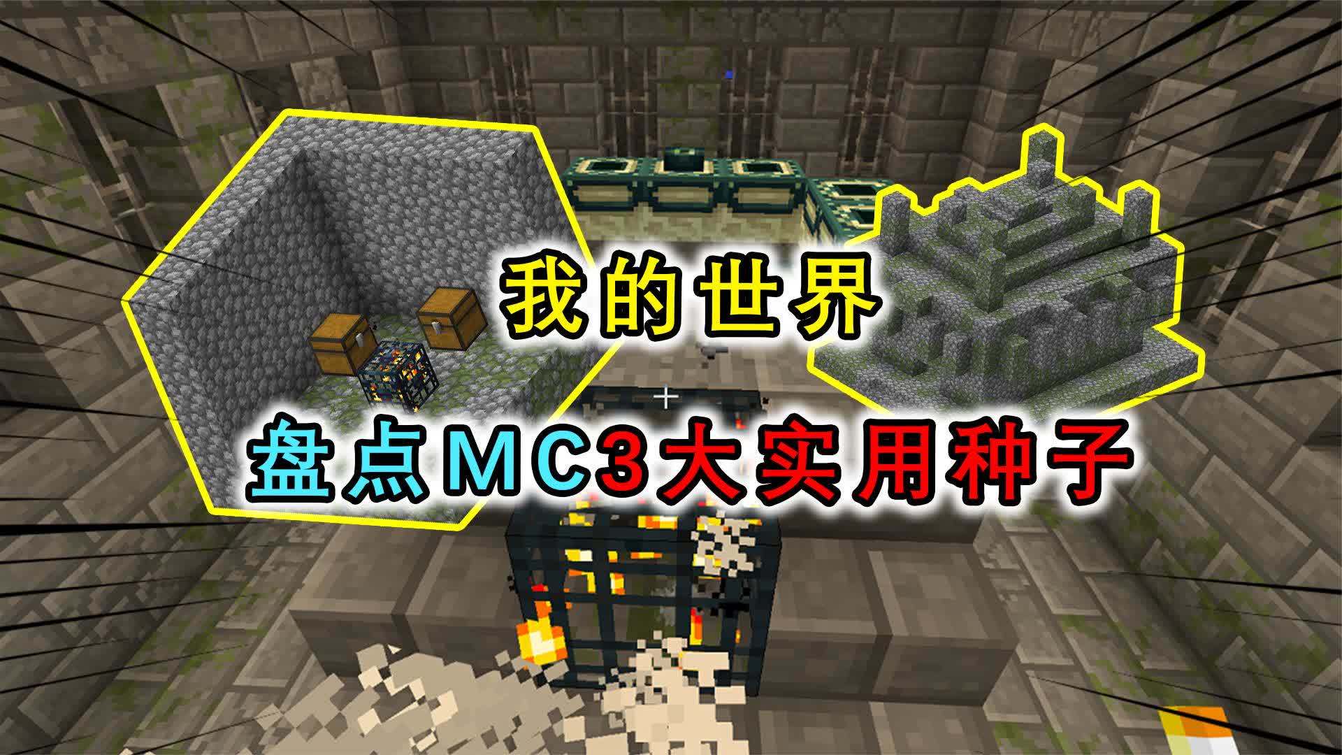 我的世界:超稀有的种子,出生点在村庄,垂直下挖就是地牢