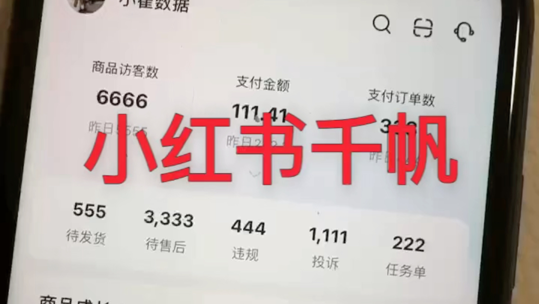 小红书修改器/最新千帆商家数据助手