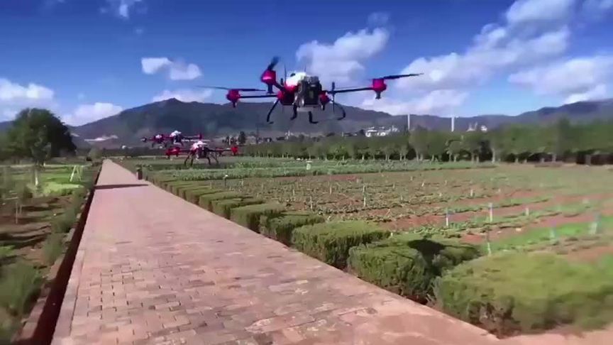 数架极飞植保无人机在田边起飞