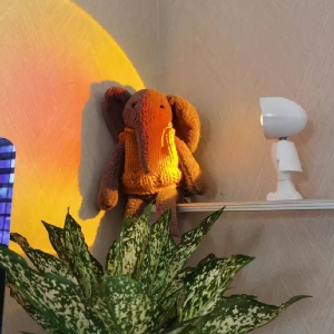 感恩生命每一人 