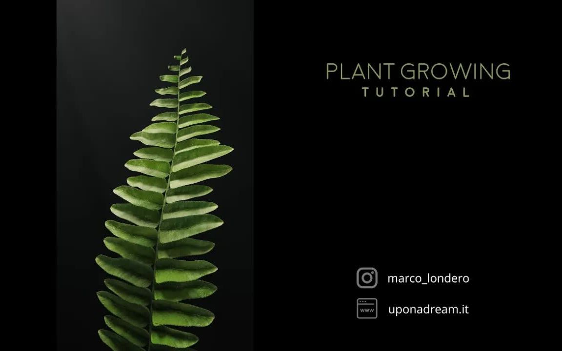 Houdini教程:植物生长动画教程(中文字幕)