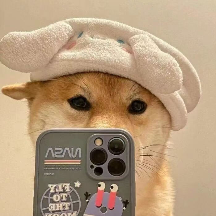 林子大了什么俊杰都有 