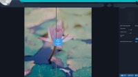 06-Topaz Sharpen AI(智能清晰锐化)