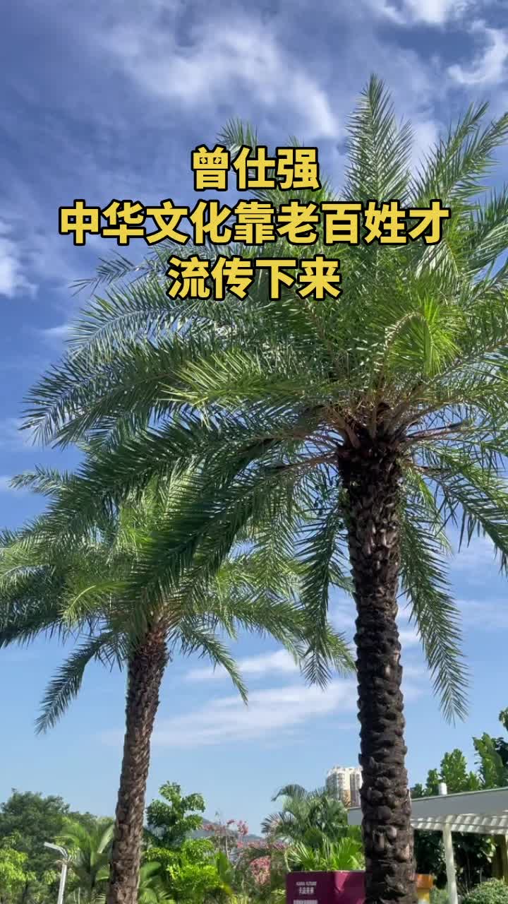 曾仕强:中华文化是靠老百姓才流传下来的。#曾仕强 #中华文化 #国学...