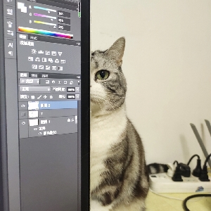 画图呢蝎子 