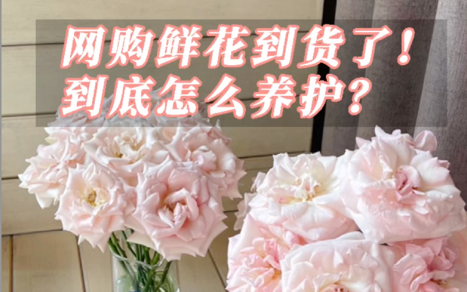 【源儿的花Vol.70】鲜花到货醒花+插瓶指南|严重缺水抢救技巧