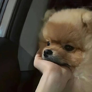 周末上发条 