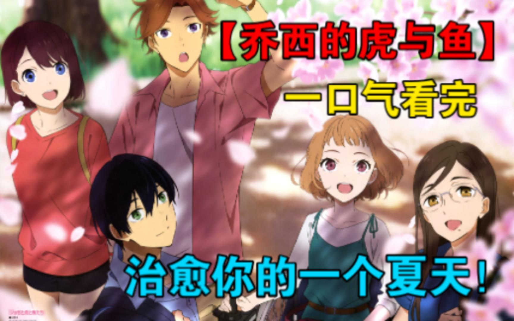 一口气看完【乔西的虎与鱼】治愈你的一个夏天!