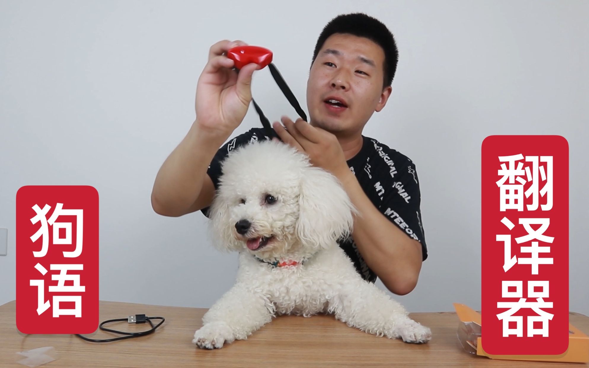 花138块钱买了一款狗语翻译器,真的能实现人与动物互动交流吗