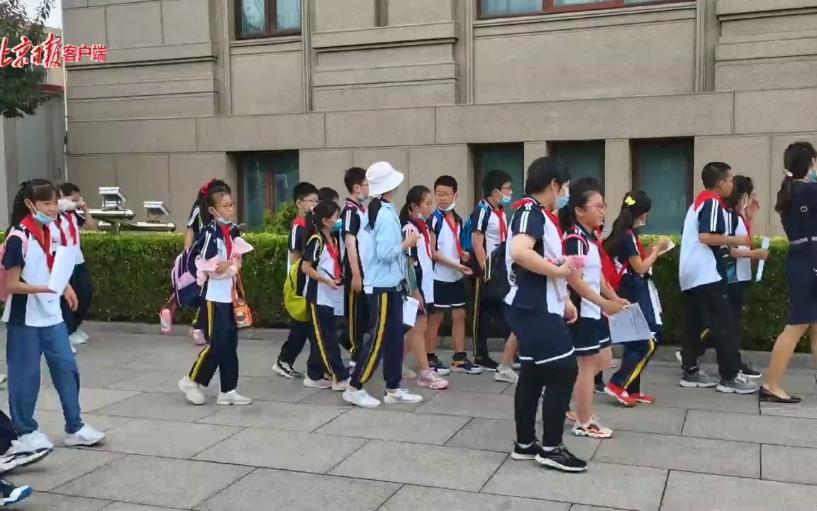 探索植物多样性奥秘,“小科学家”们在行动!