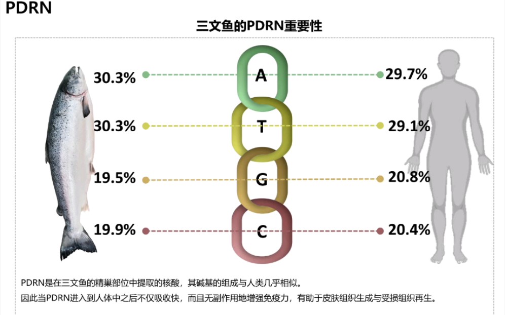 三文鱼的PDRN重要性