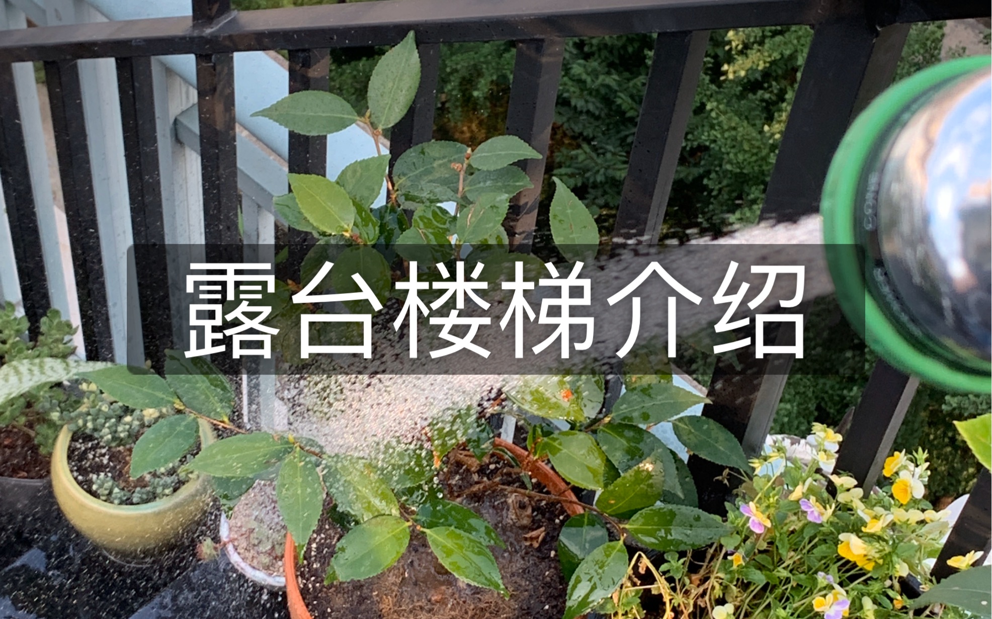 屋顶露台铁艺楼梯的设计和安装,怎么避免打钉子在屋顶上,个人心得