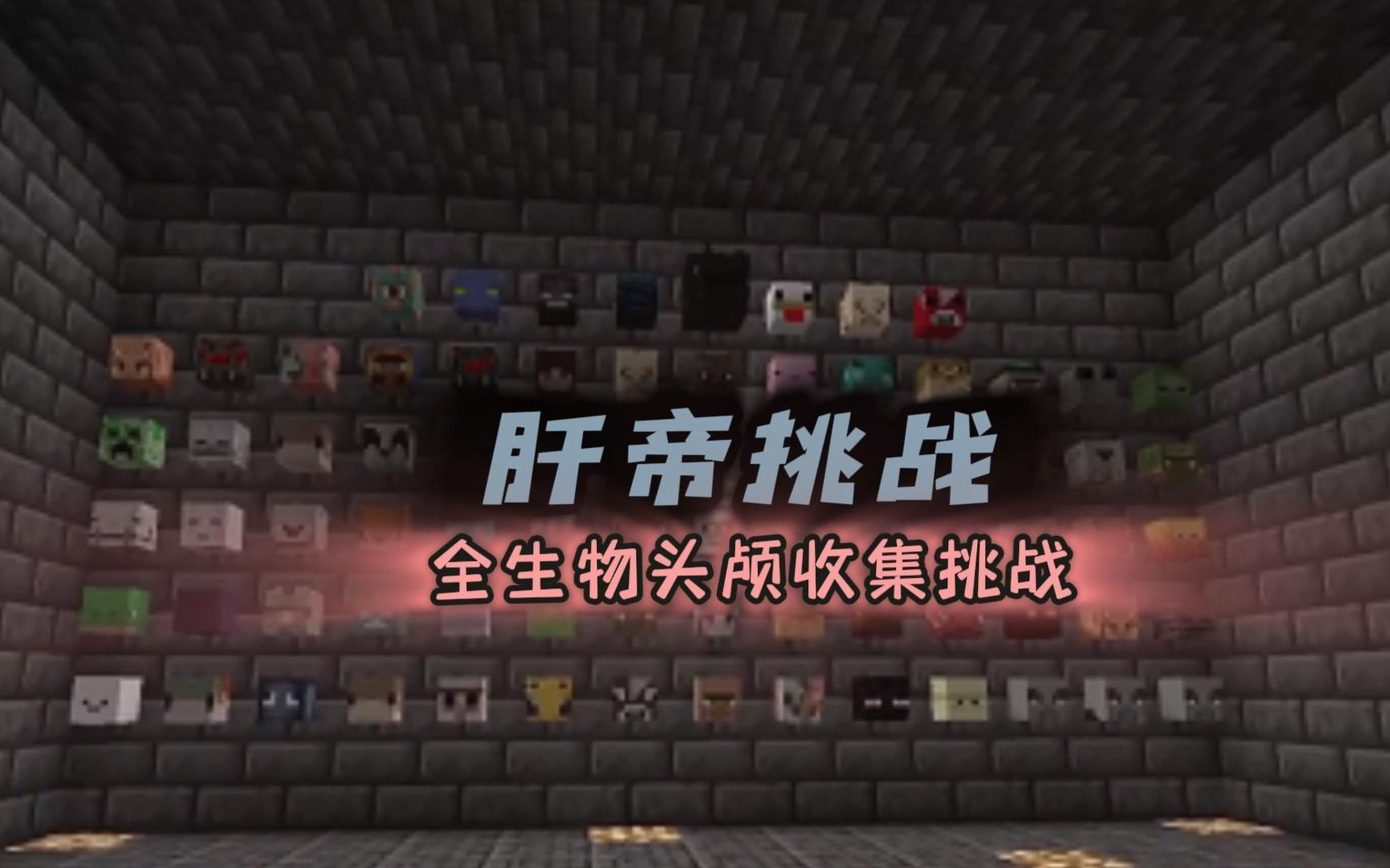 不爱穿裤子的老哥全生物头颅收集挑战_我的世界