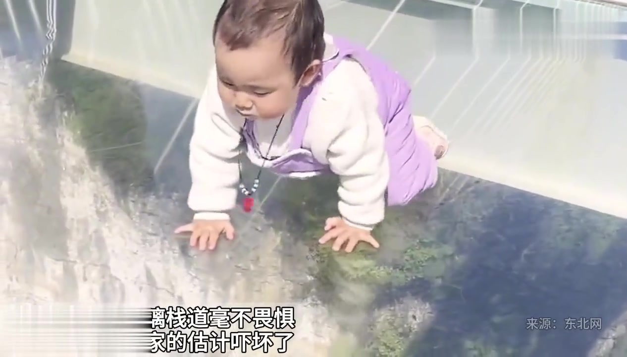 萌娃独自爬玻璃栈道毫不畏惧网友:要是我家的估计吓坏了
