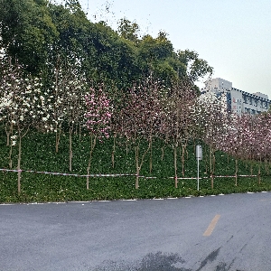 bili_16310593342 