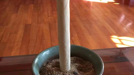 艾条熏室内消毒的方法