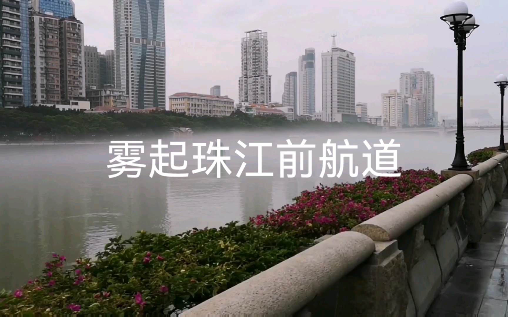 雾起珠江前航道,河流笔记,记录河流之美