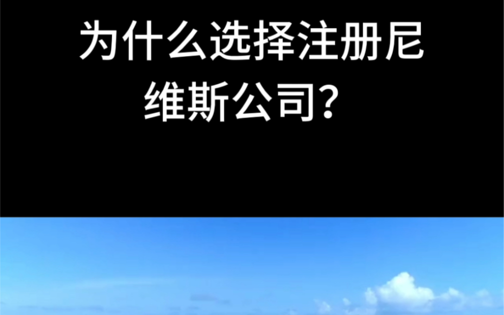 为什么选择注册尼维斯公司?