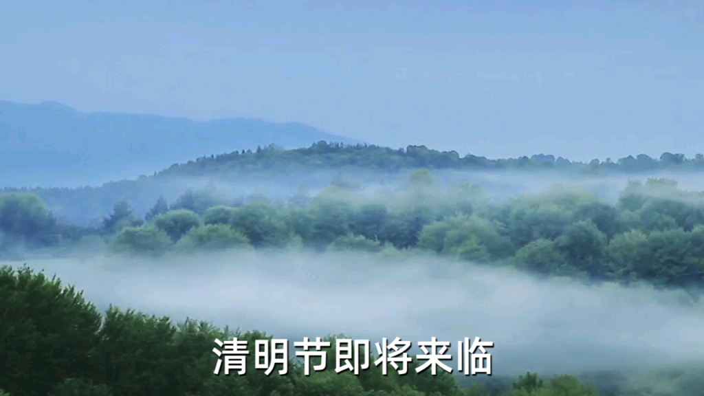 #森林防火 #清明节 #监控 踏青祭祖注