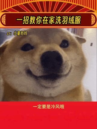 这下在家也可以洗羽绒服了#娱乐评论大赏 #羽绒服 #省钱