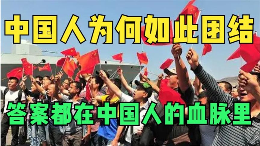 无助心酸的叙利亚外交官,刺痛中国人,沦为刀俎的伤疤