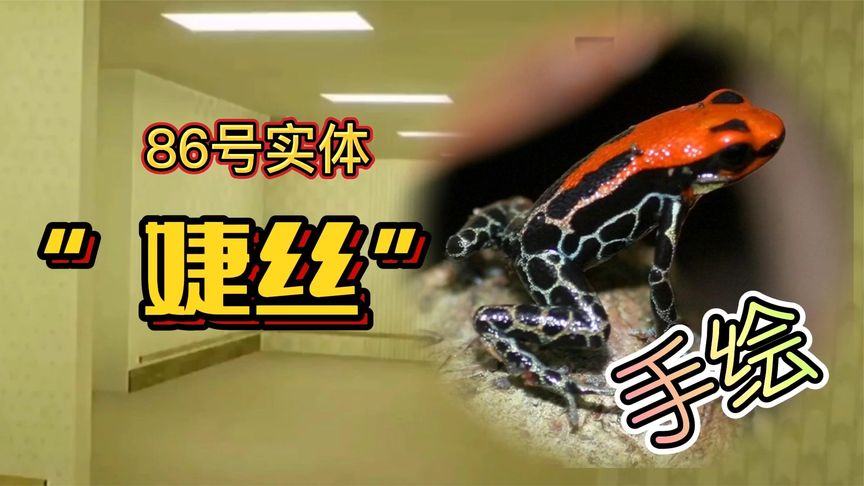 婕丝“后室实体档案”