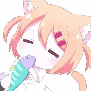 CR曙光 