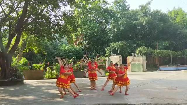 非常适合舞台表演的一支舞蹈,队形变化多样,音乐欢快