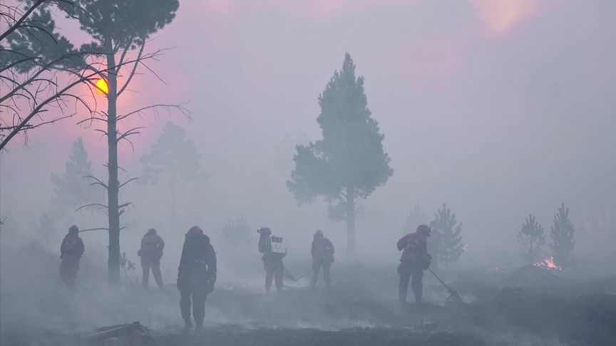 面对森林火灾 我们该怎么做?