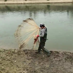 老王撒网互关 