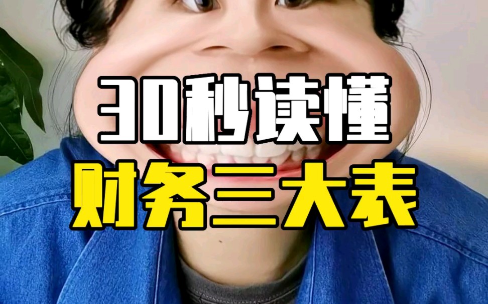 三十秒读懂资产负债表+利润表+现金流量表,看完还不懂算我输!