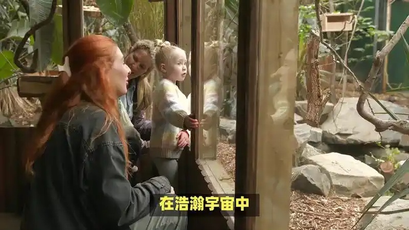 从大过滤器到动物园理论:探索外星生命之谜的科学前沿