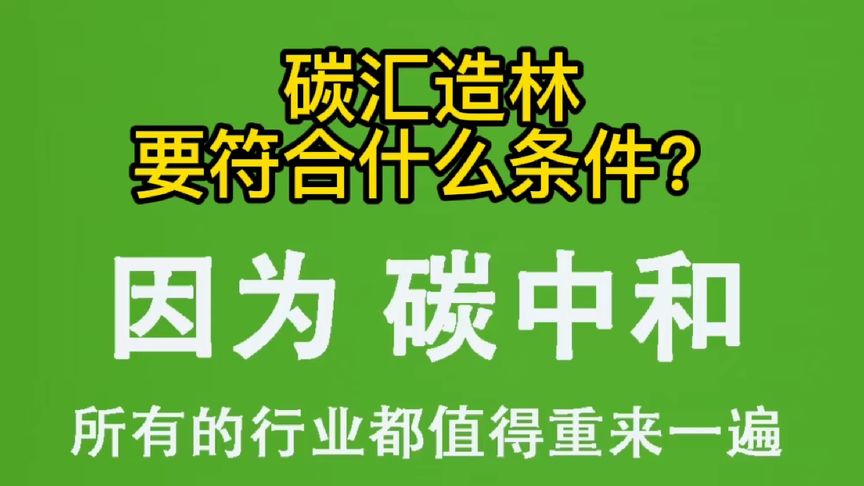 碳汇造林要符合什么条件?#林业碳汇#碳中和#碳交易#赚钱