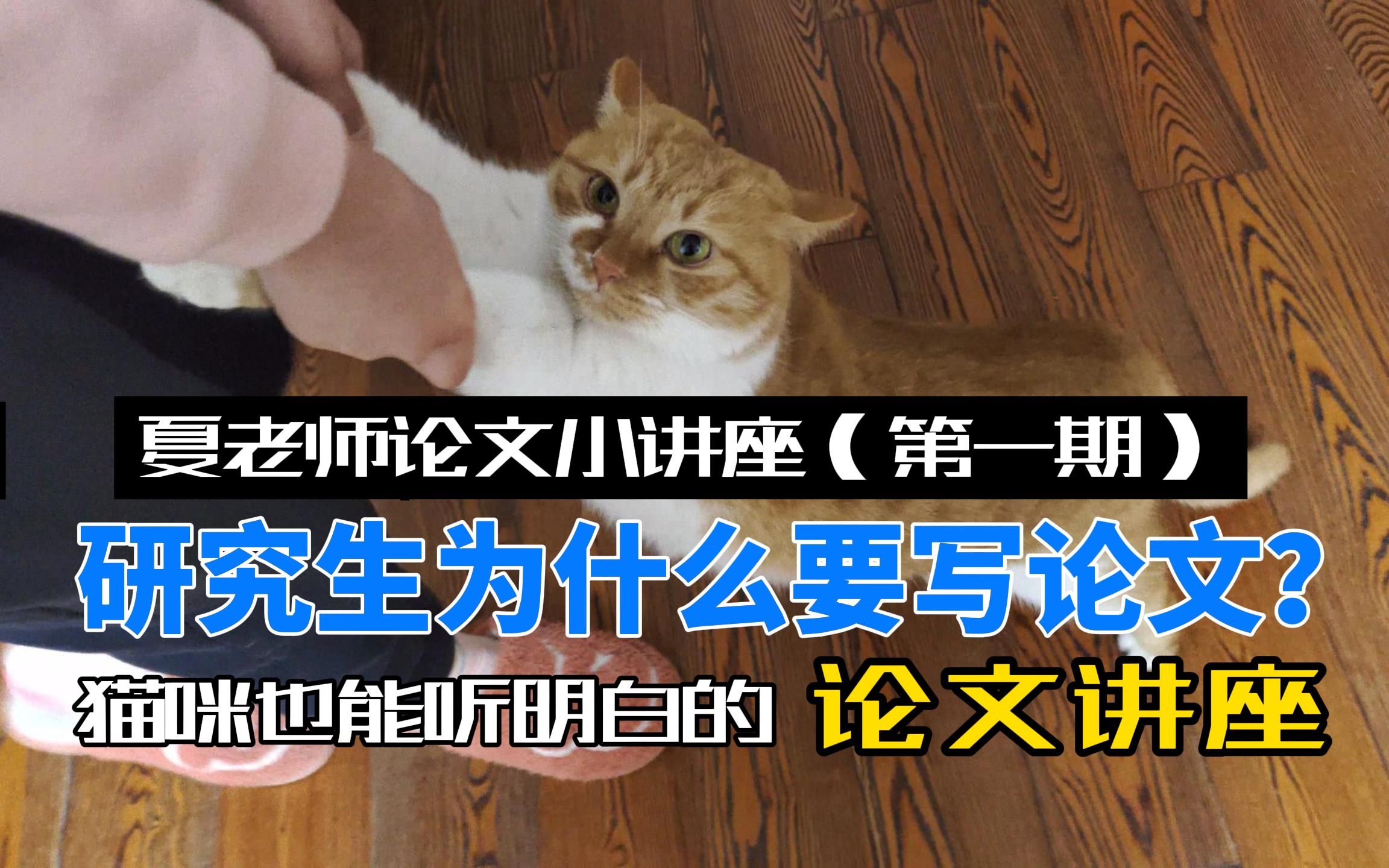 【SCI论文写作Vol.1】猫咪都能听懂的论文讲座|研究生为什么要写论文?
