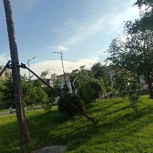 云歆书 