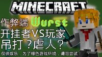 【凯妙】Wurst!开挂VS玩家