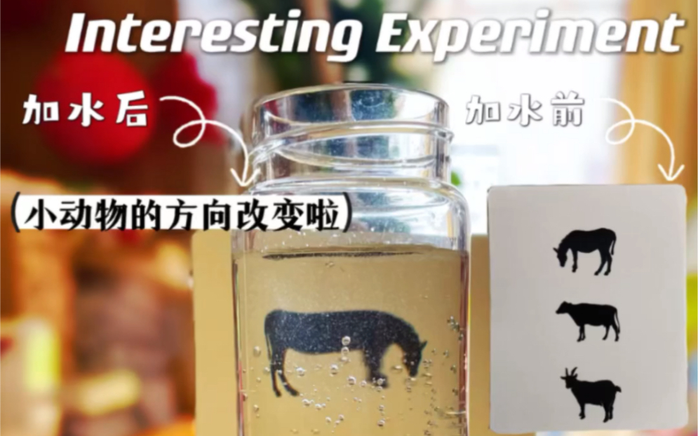 100个科学实验|07.神奇的水玻璃