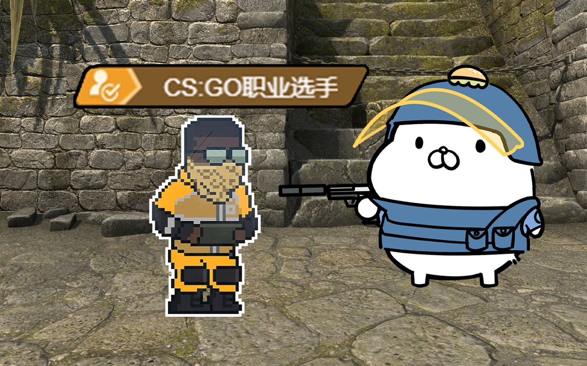 【CSGO】对不起 我是警察!