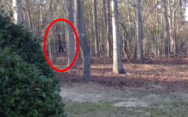 大脚怪? 实拍树林里出现在的诡异人影