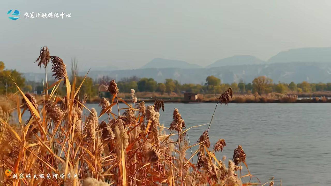 ...投稿邮箱:1683778598@qq.com更多视频点击关注@临夏州融媒体中心