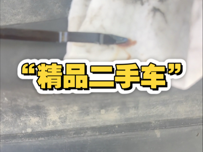 帮北京小哥哥检测一台斯柯达明锐,白天上班没办法到现场,所以委托我...