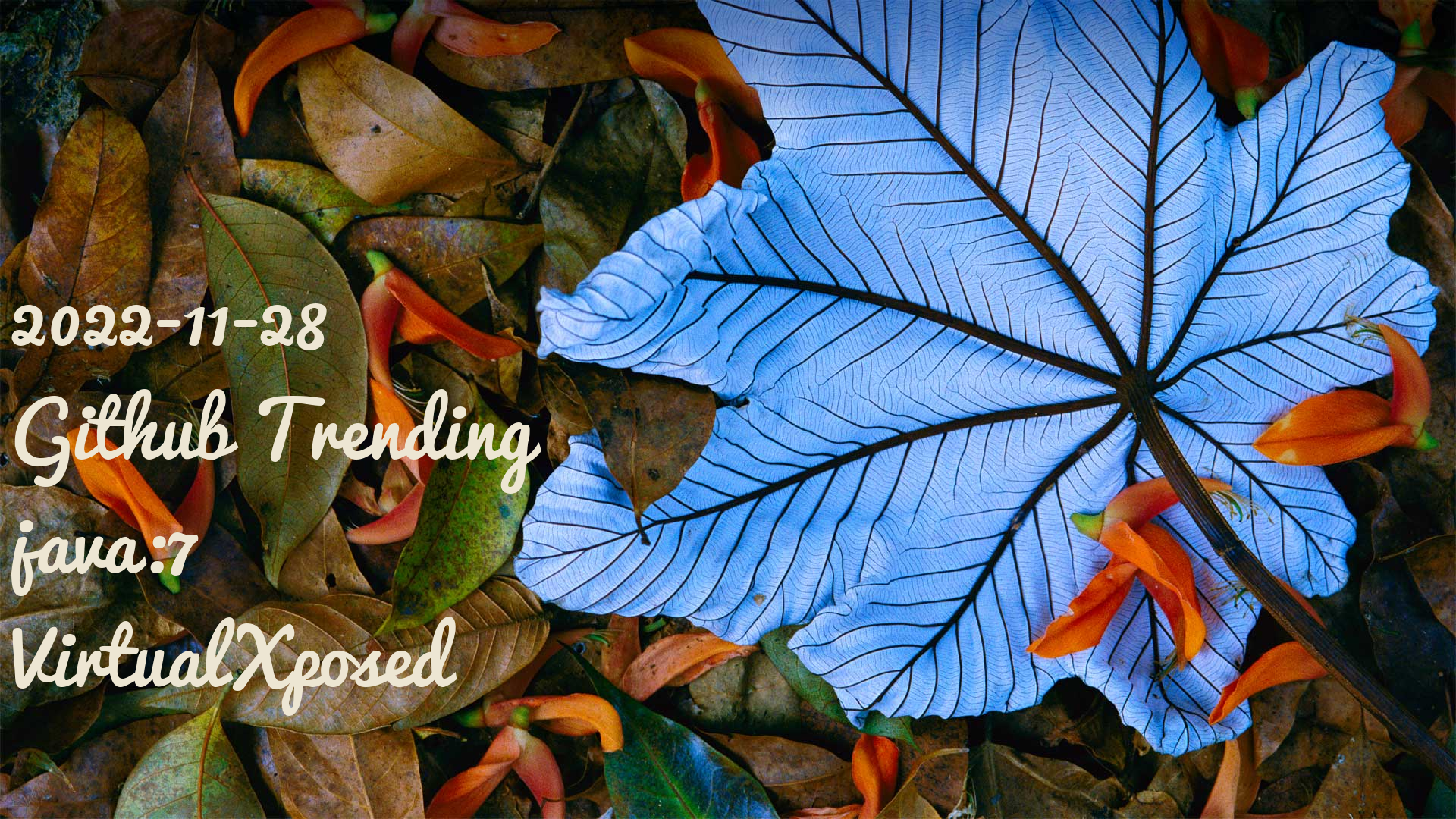 2022-11-28: Github Trending of java : 8 - VirtualXposed